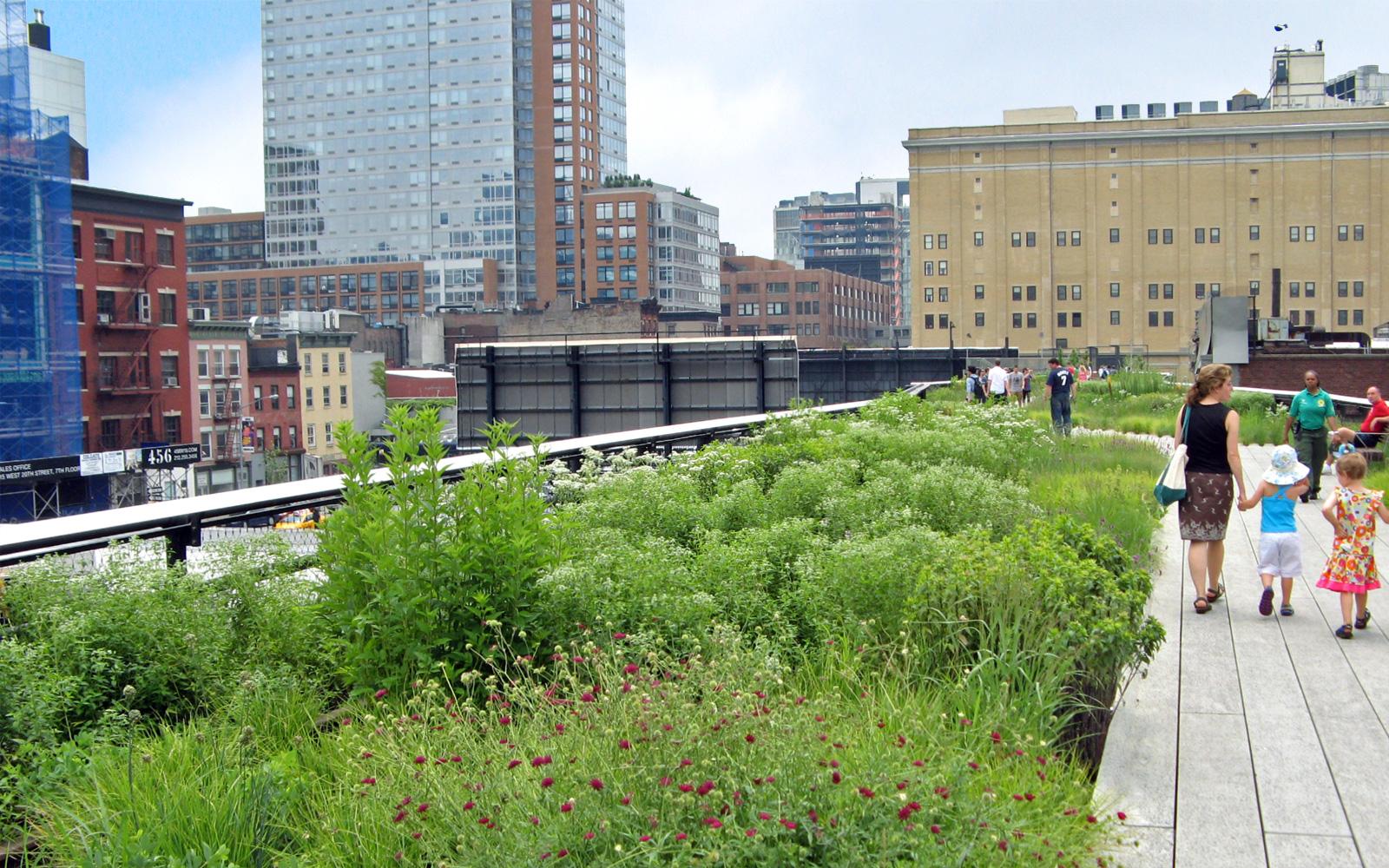 High Line wins 2011 Green Roof Award of Excellence | ZinCo Green Roof ...