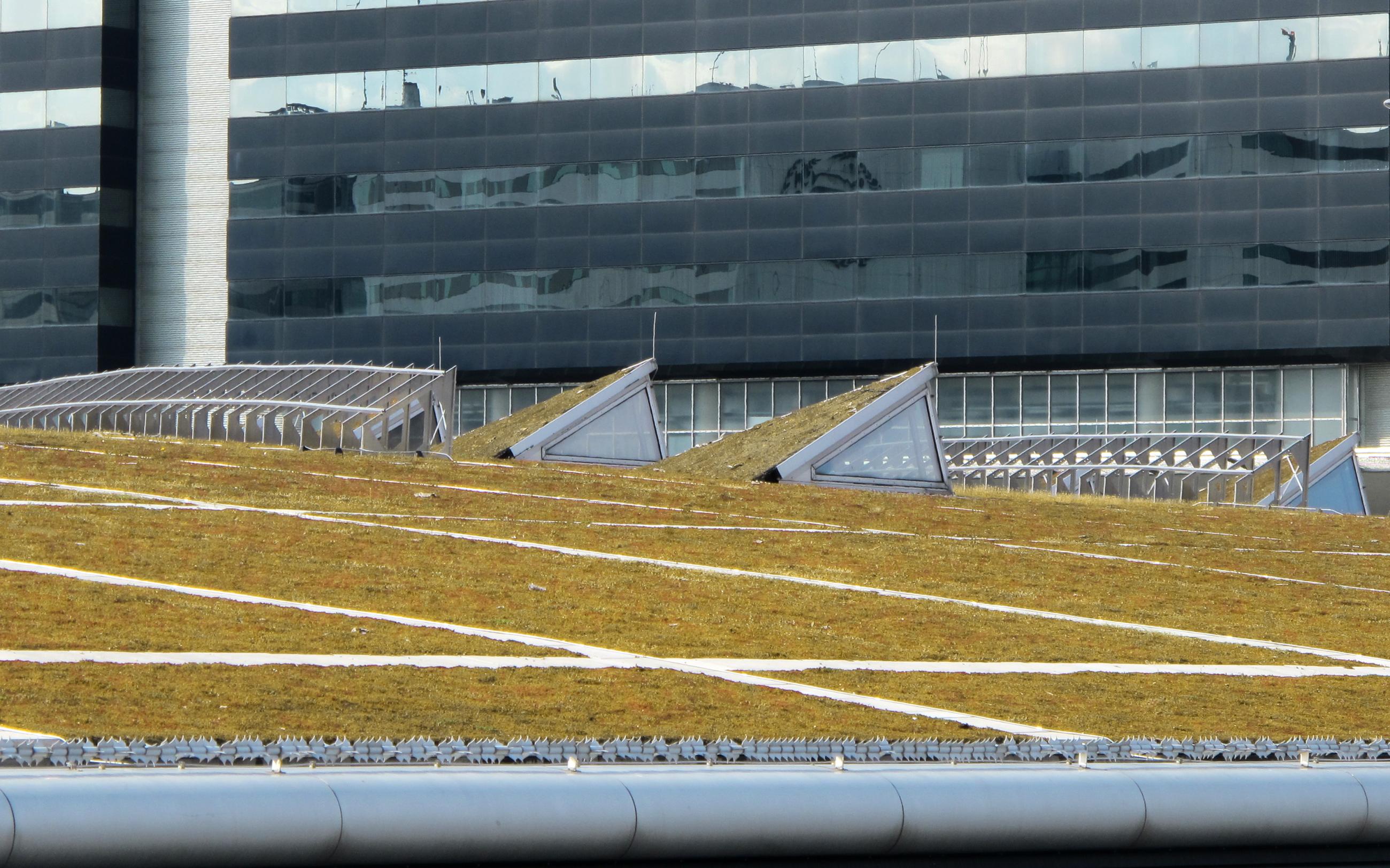 Roof restoration with a sunny side | ZinCo Green Roof Systems USA
